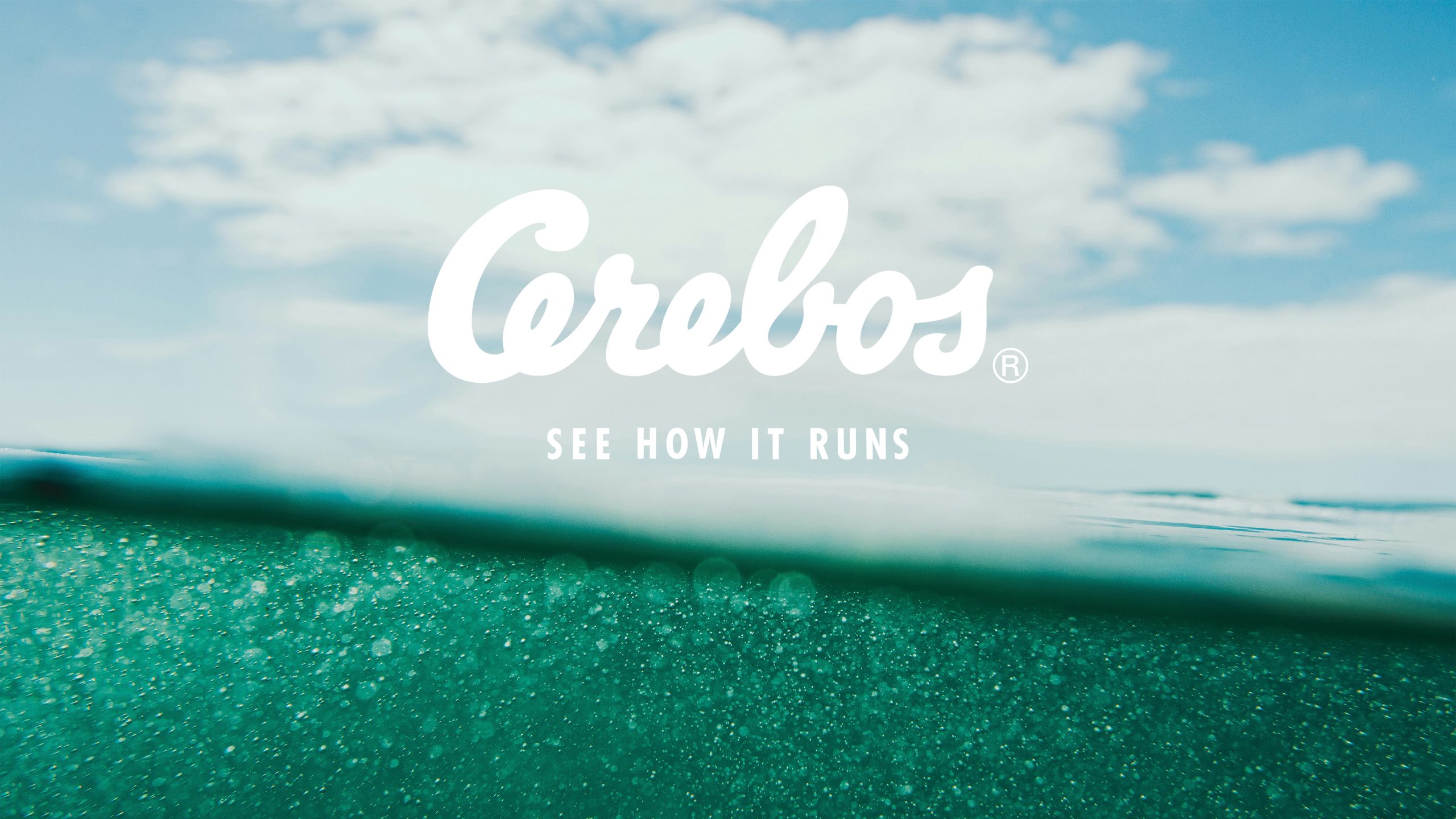 Cerebos – See how it Runs